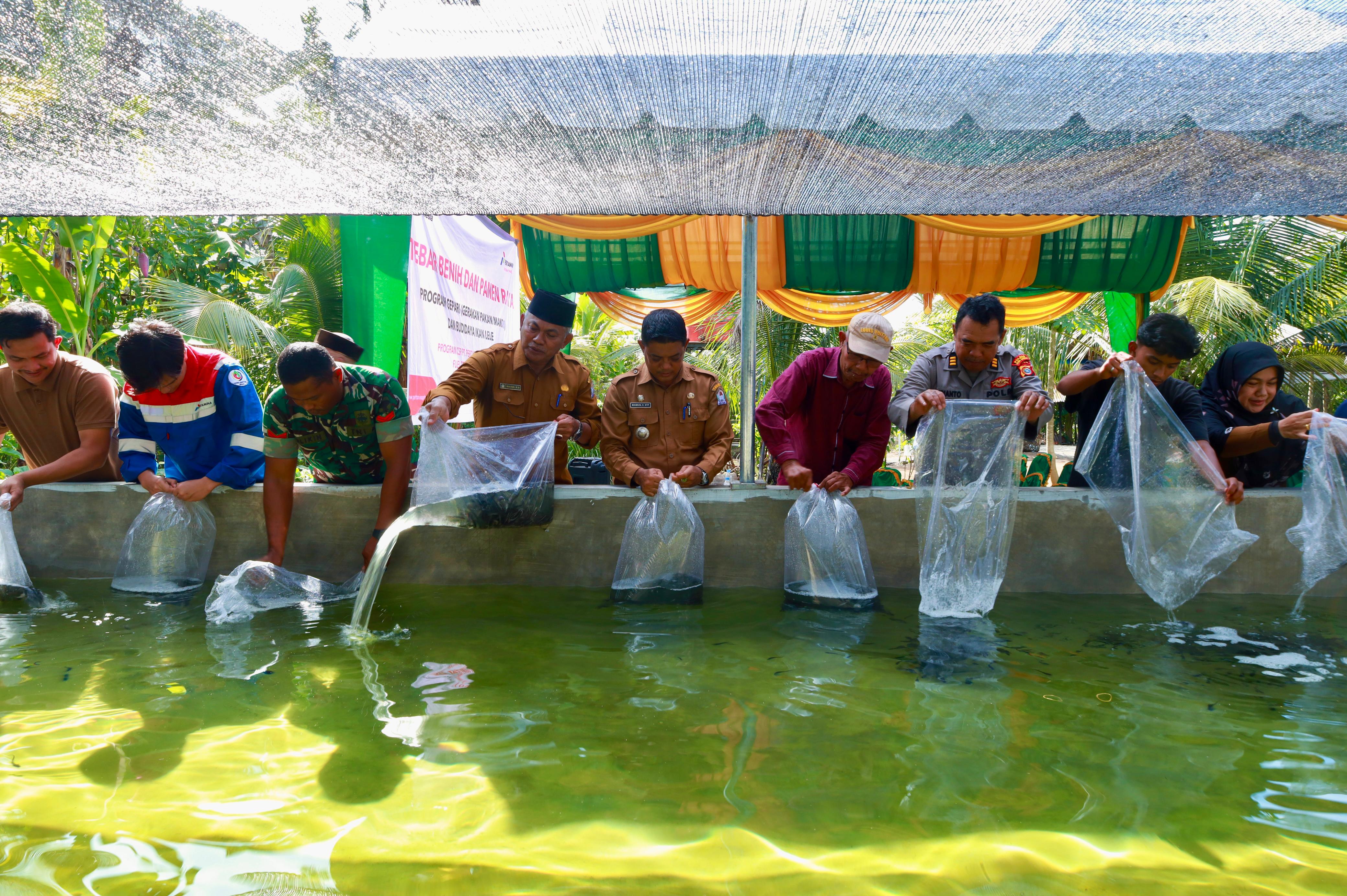 DKP Aceh Barat Tebar Benih dan Panen Raya Ikan Lele